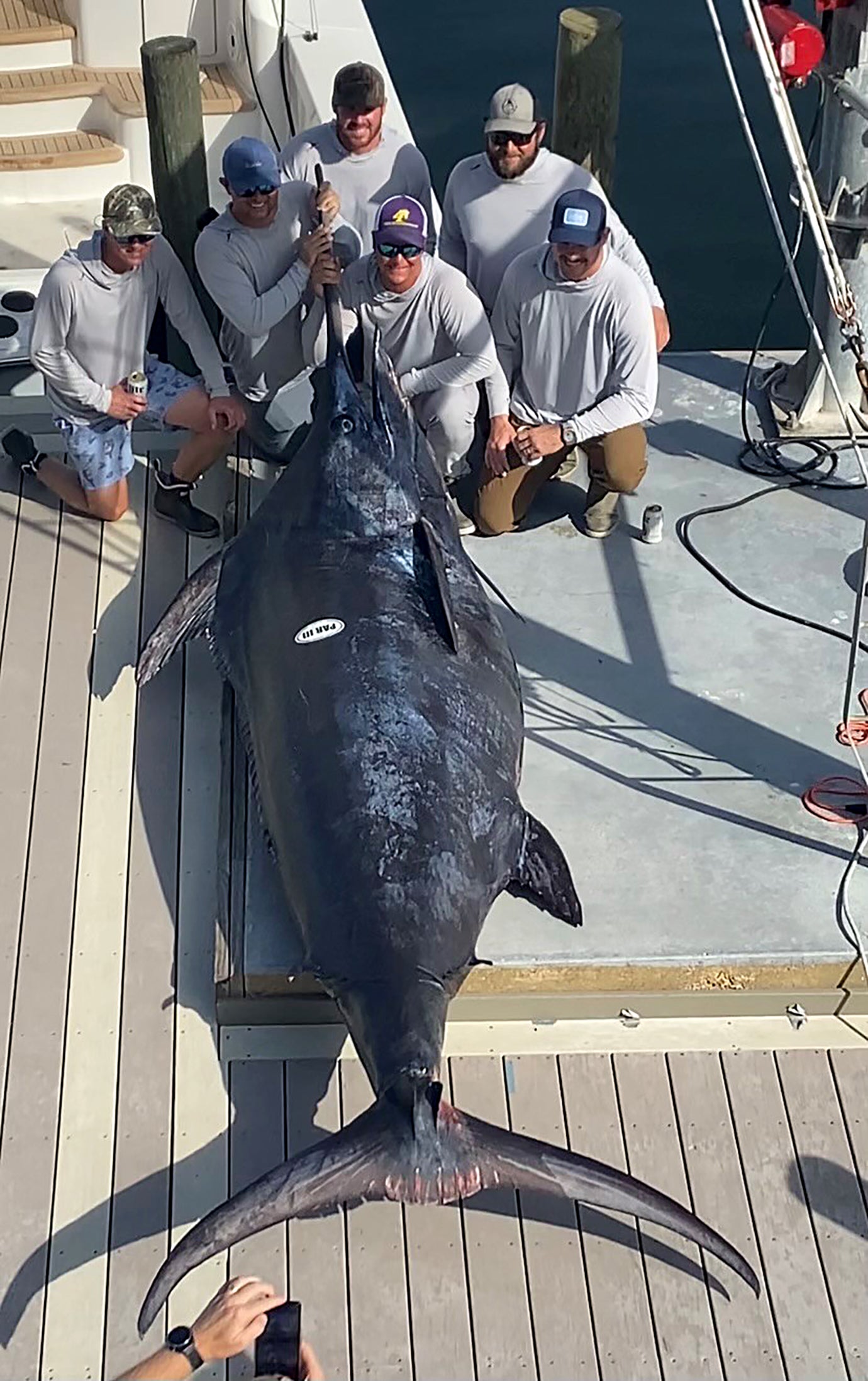Orange Beach Boat Lands Potential Record Blue Marlin | Outdoor Alabama